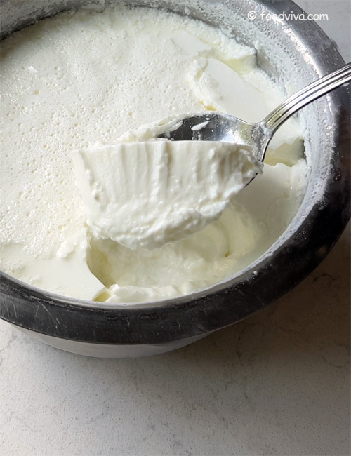How to make Yogurt (Dahi) - Homemade Yogurt with Tips