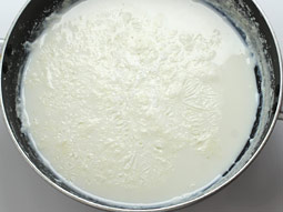 Homemade Khoya Recipe - Prepare Khoa or Mawa from Scratch