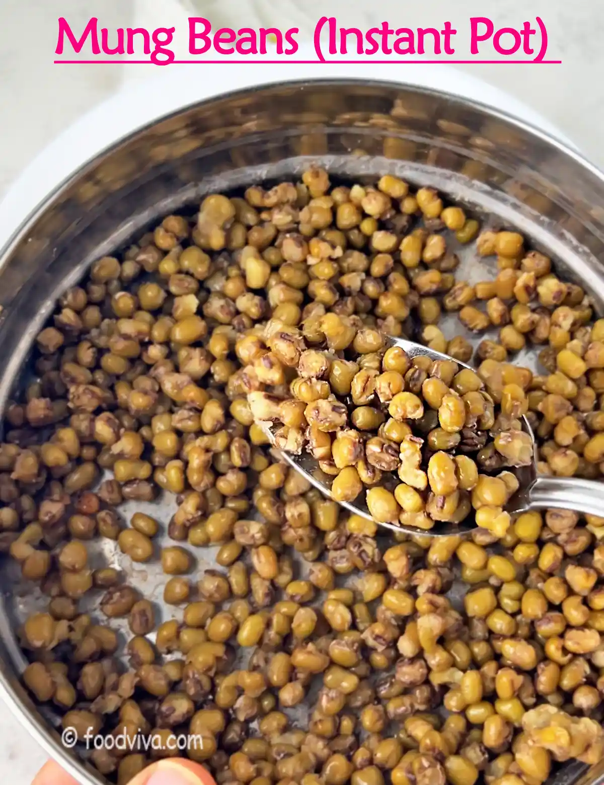 Cook Mung Beans Perfectly in Instant Pot