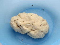 Farsi Puri Recipe - Crispy Deep Fried Traditional Gujarati Snack